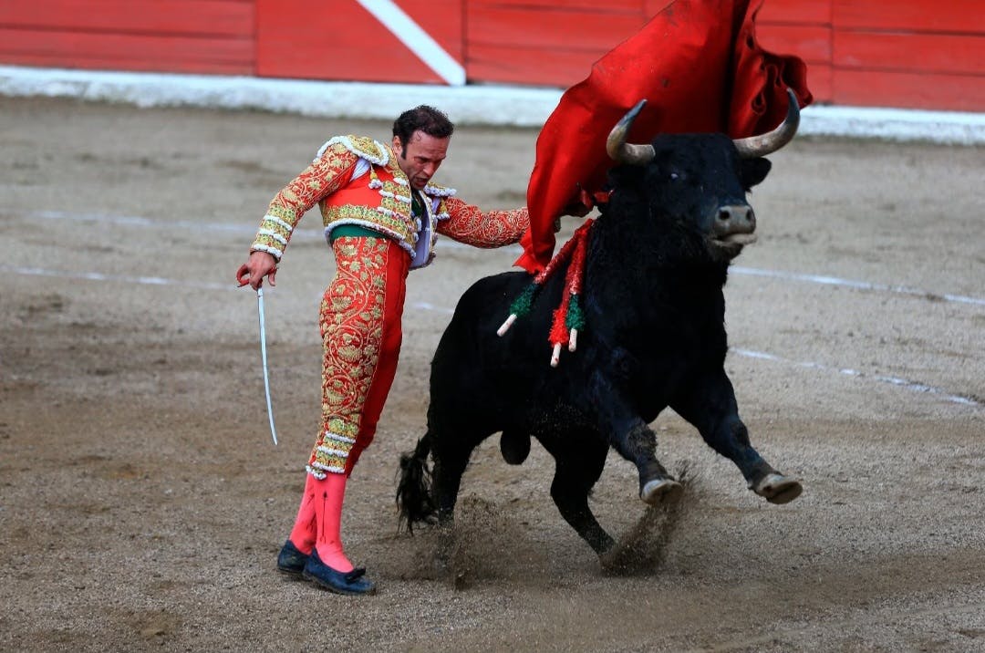 Colombia está a un paso de prohibir las corridas de toros